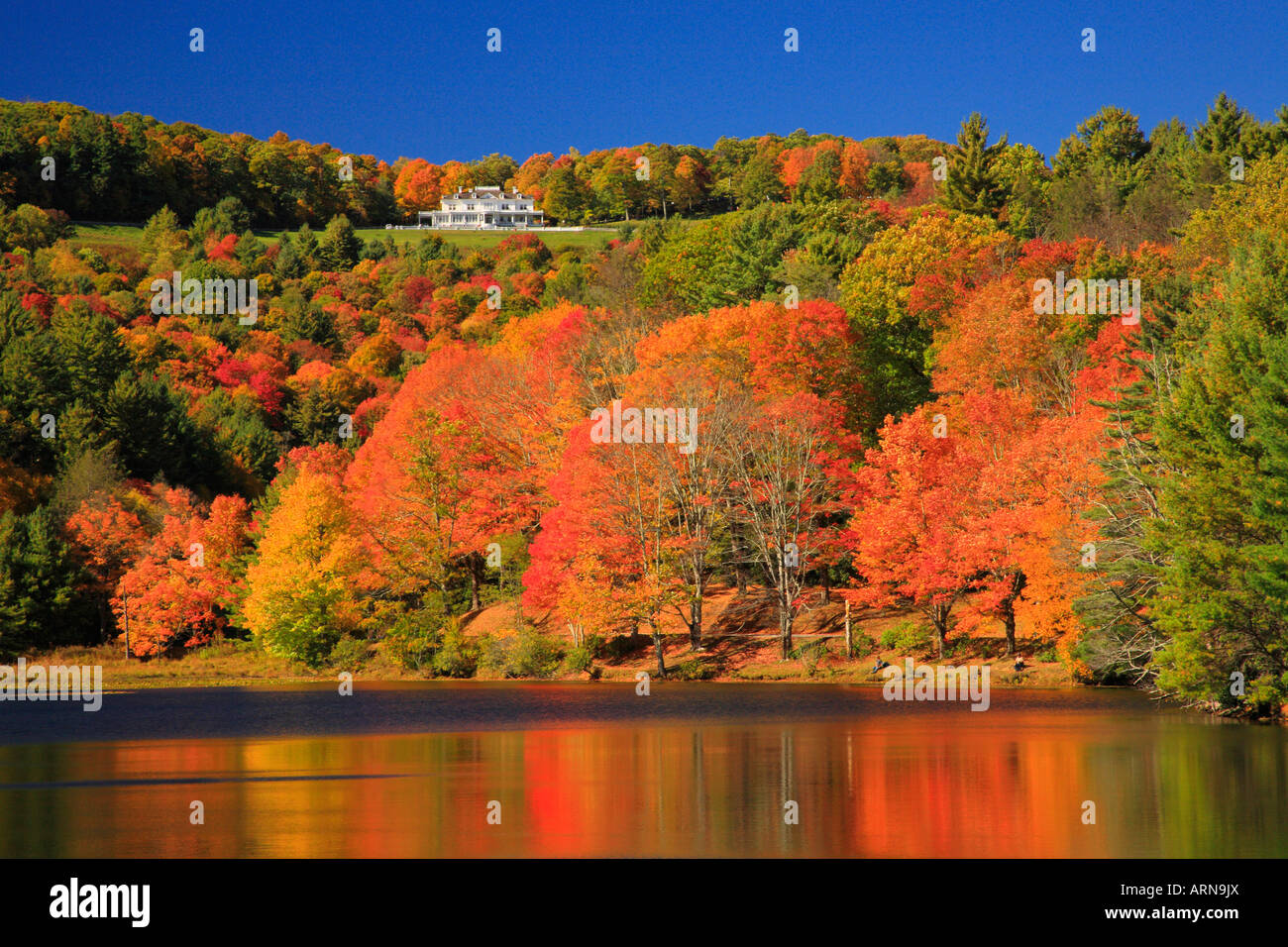 Moses cone mansion north carolina hi-res stock photography and images ...