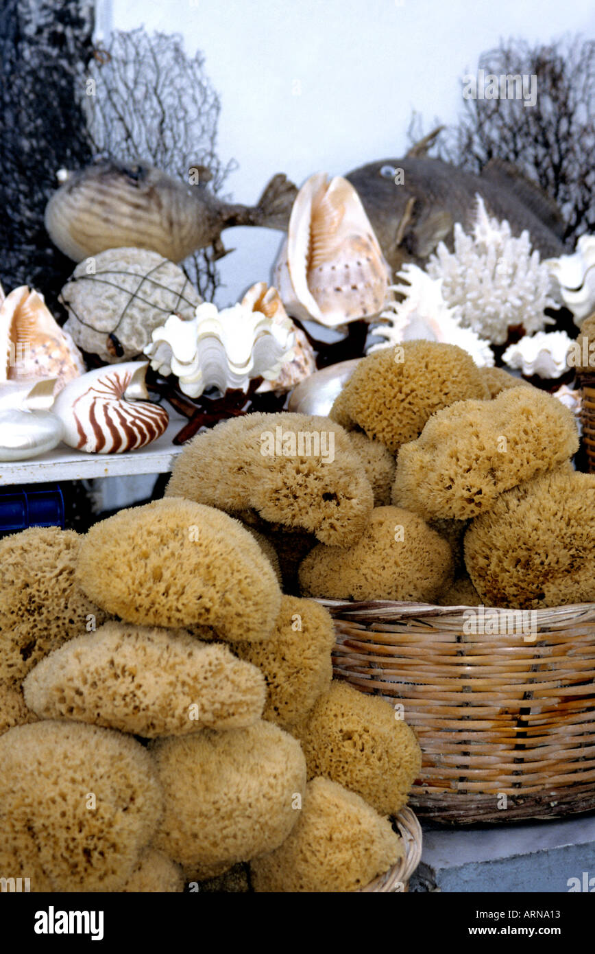Sponges and shells for sale on the Greek island of Mykonos Stock Photo ...
