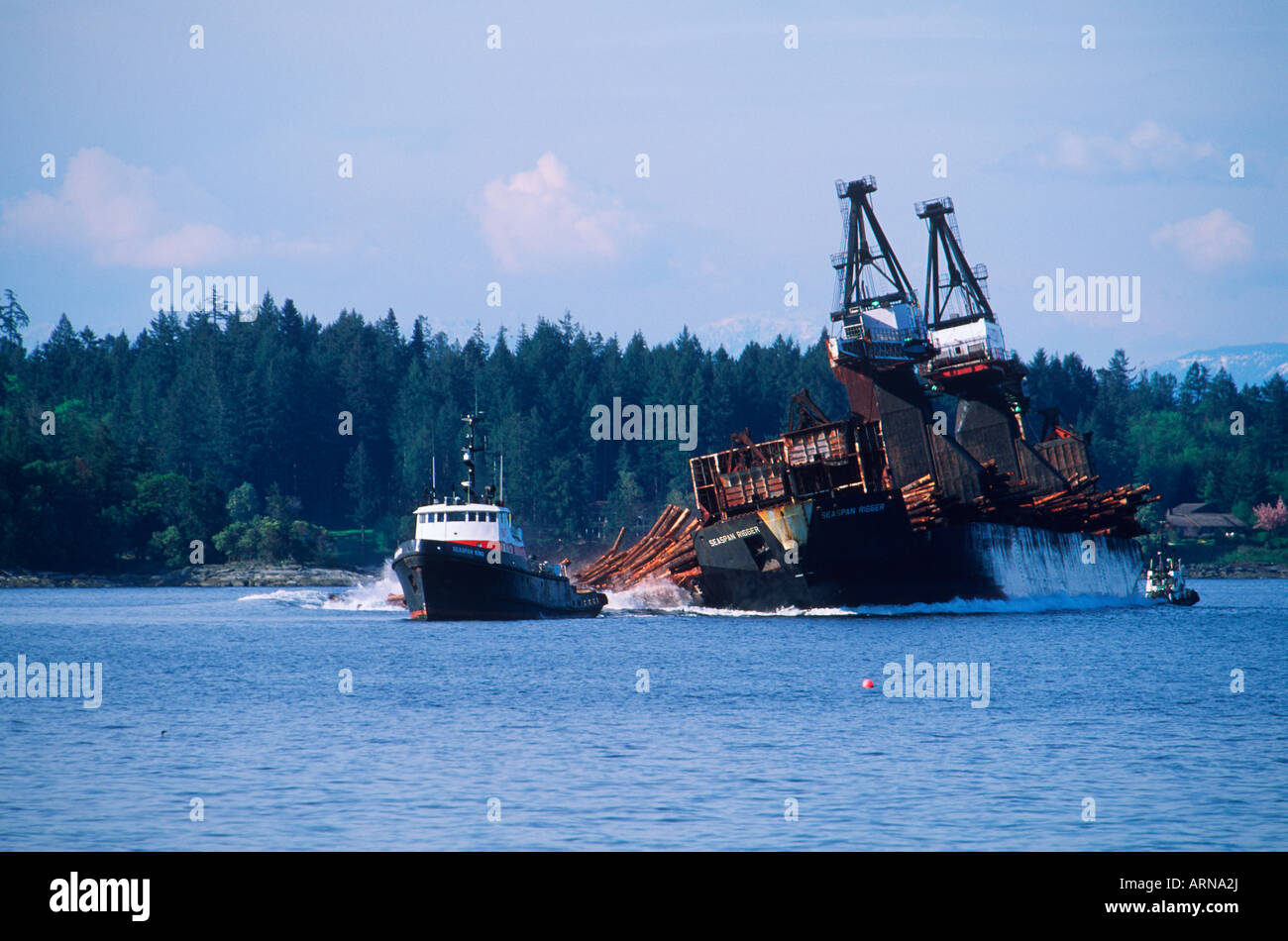 Log barge losing load of logs in the ocean, British Columbia, Canada ...