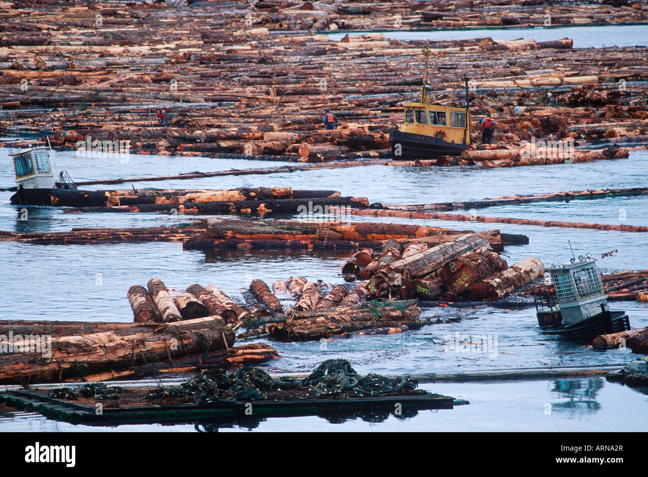 Logging booms in sea- booming boats moving, British Columbia, Canada ...