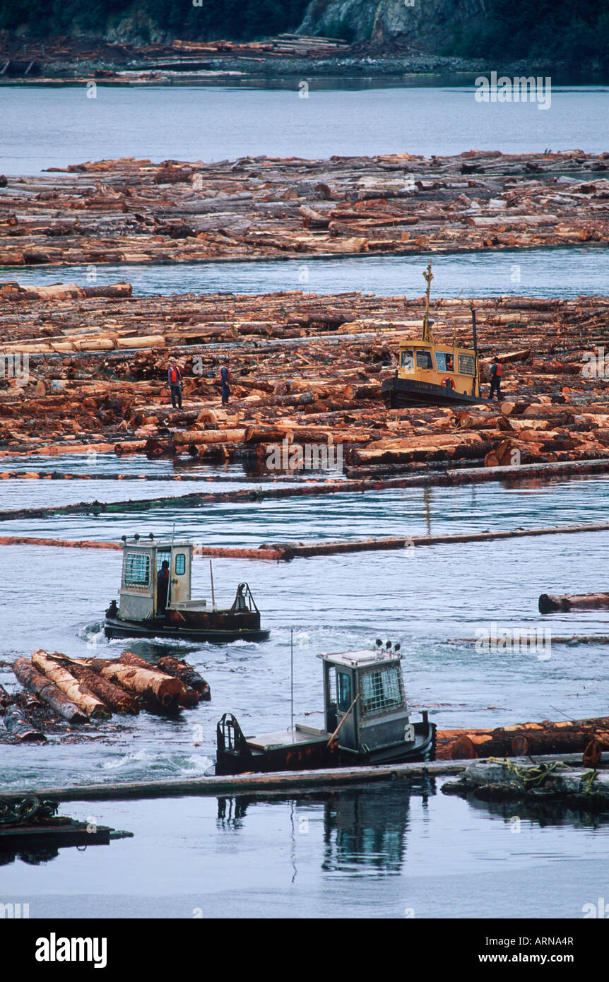 Logging booms in sea- booming boats moving, British Columbia, Canada ...
