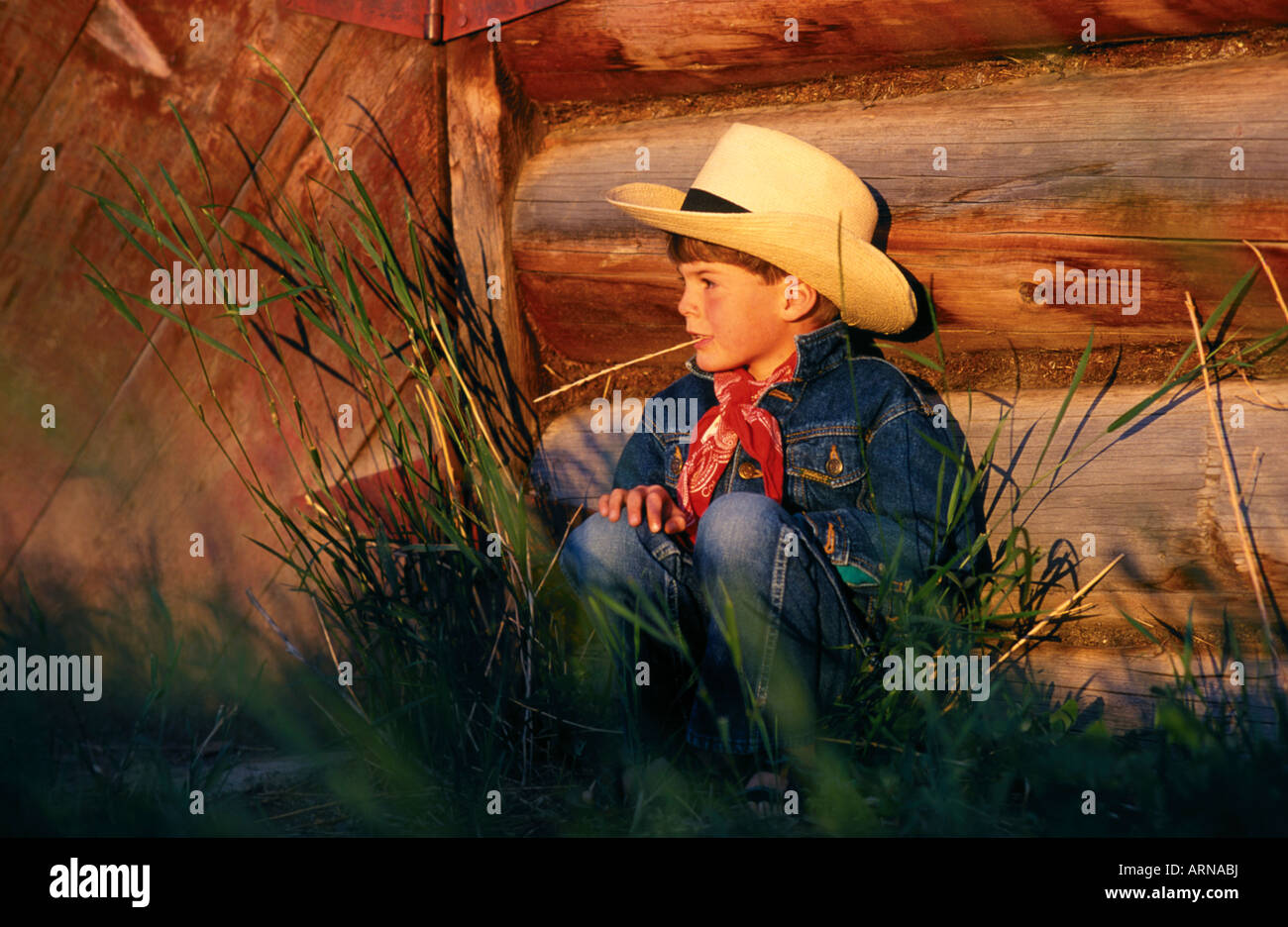 Young boy on ranch by log building, British Columbia, Canada Stock ...