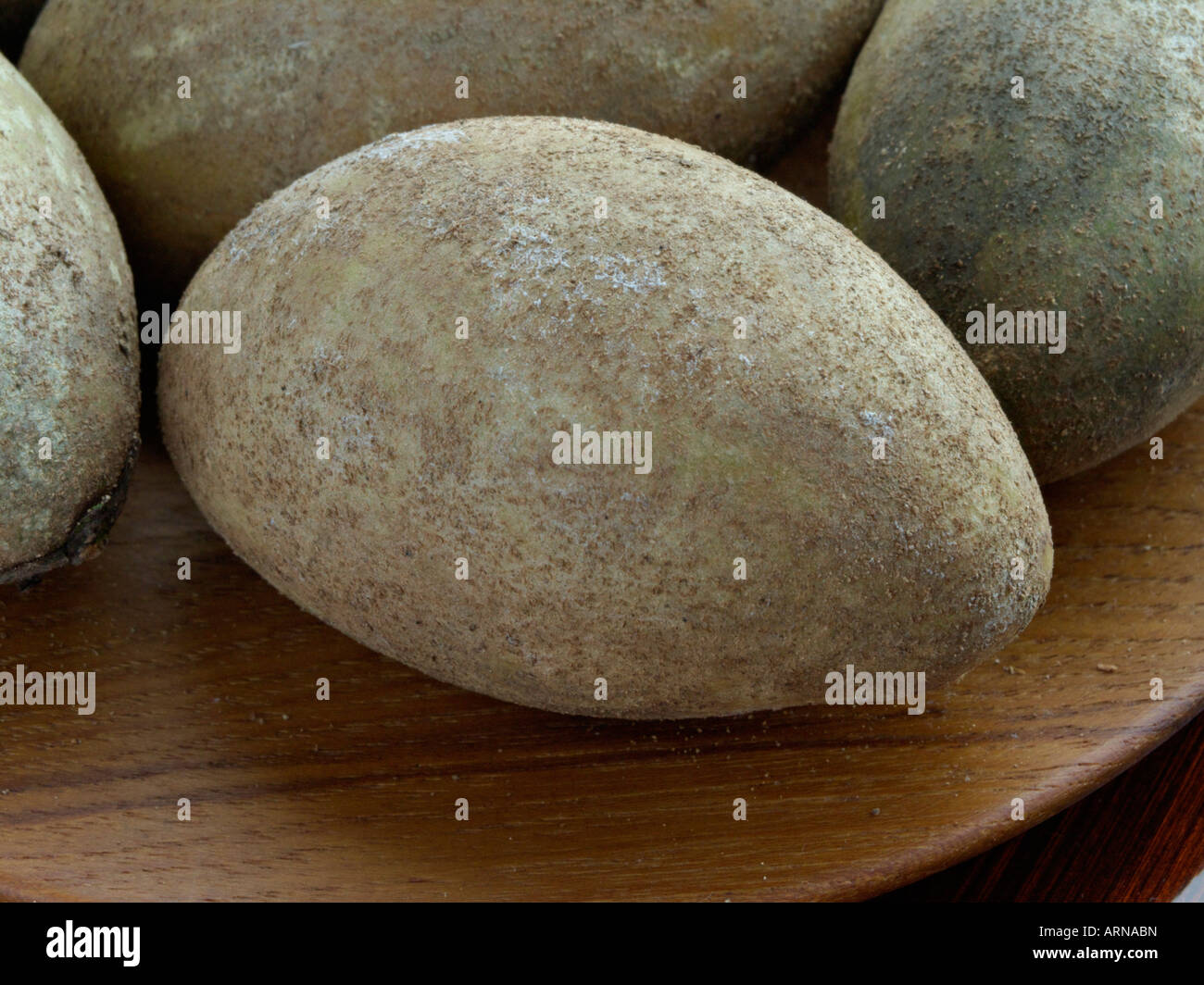 Ciku (Manilkara zapota Stock Photo - Alamy