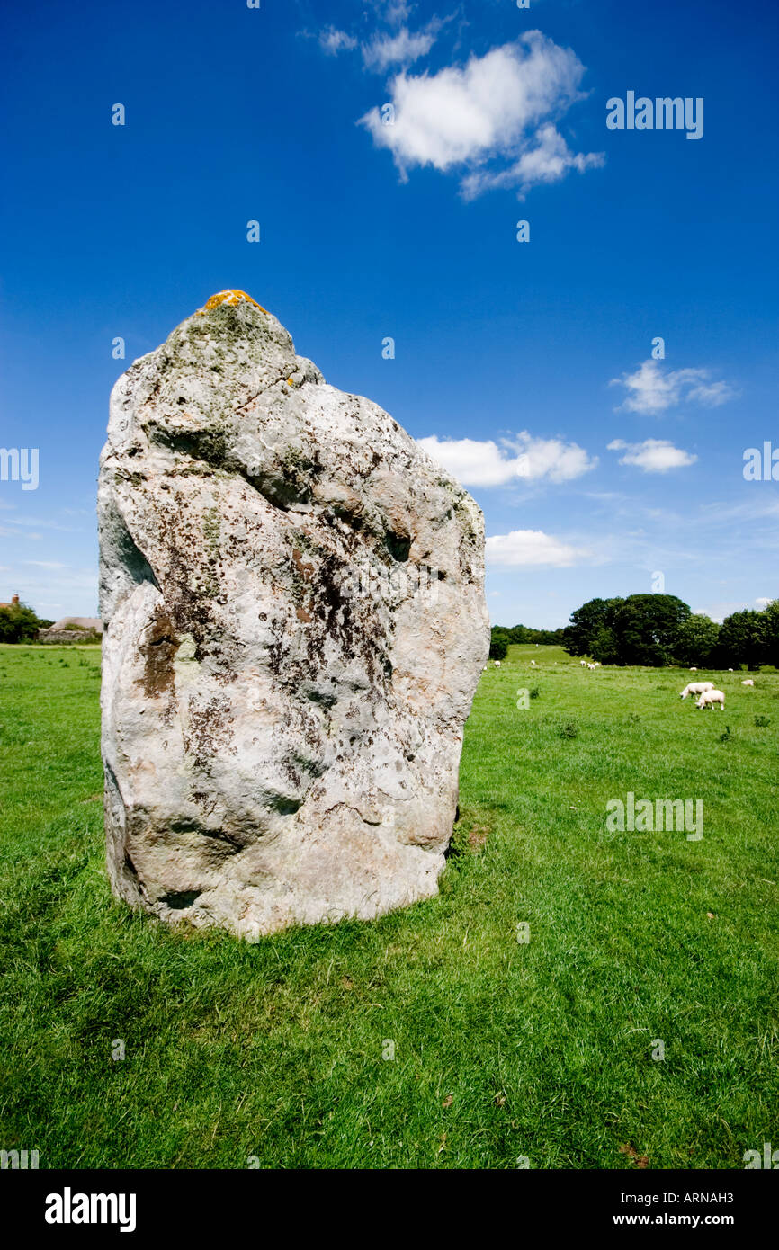 Standing stones at Avebury Wiltshire England Stock Photo - Alamy