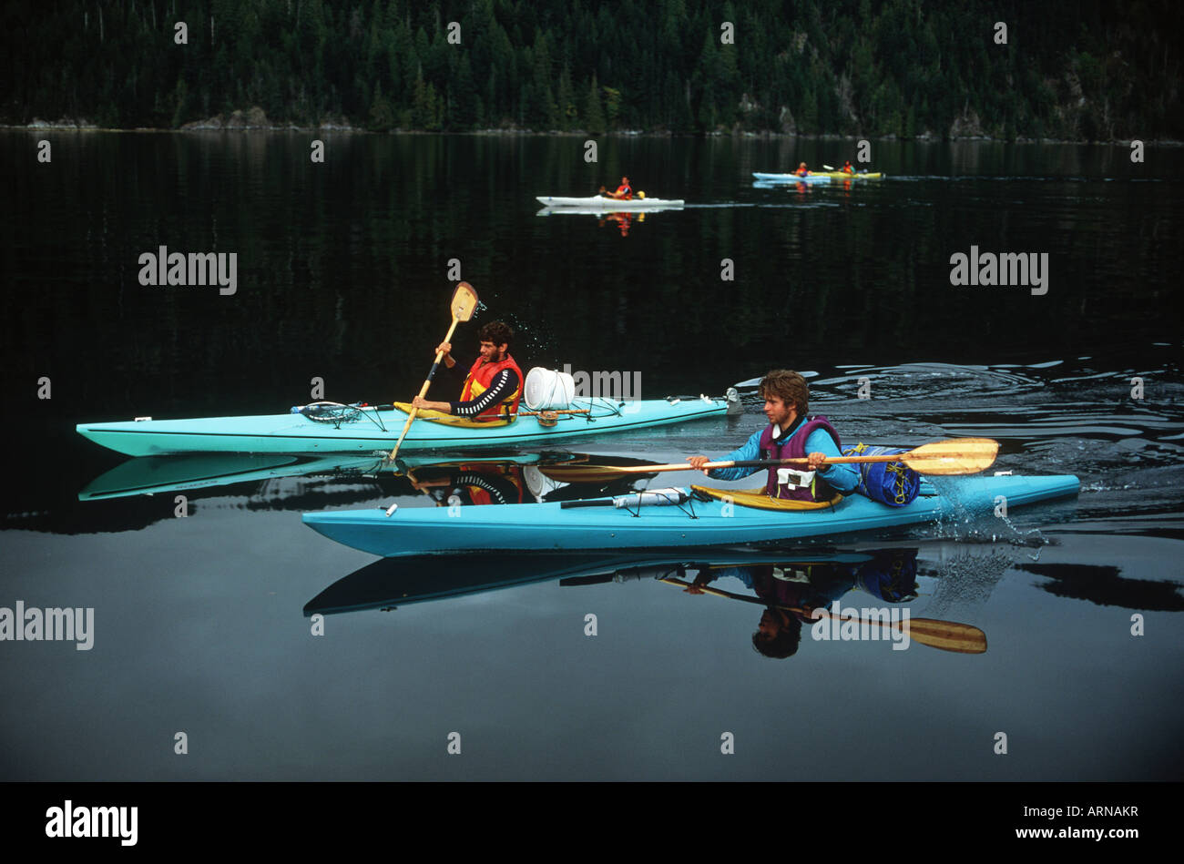 Nootka Sound, kayakers paddle down Muchalat Inlet, Vancouver Island ...