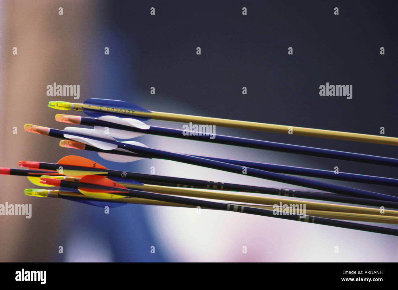 Archery Arrows High Resolution Stock Photography and Images - Alamy