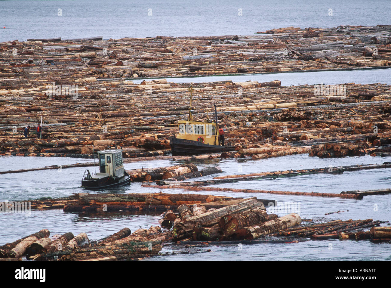 Log boom tugs hi-res stock photography and images - Alamy