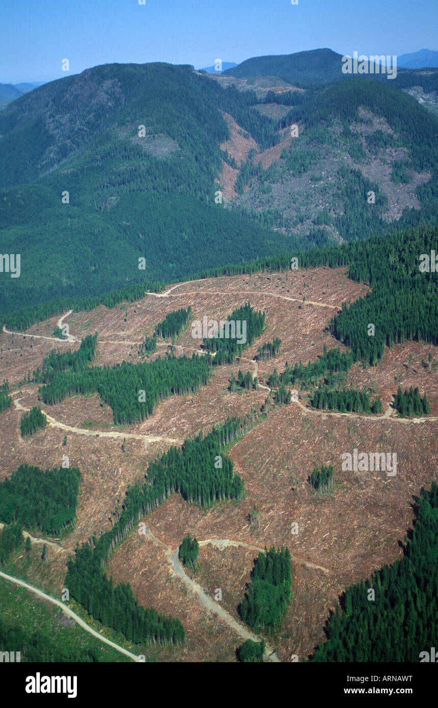 clearcut logging, Vancouver island, San juan River Valley, British ...