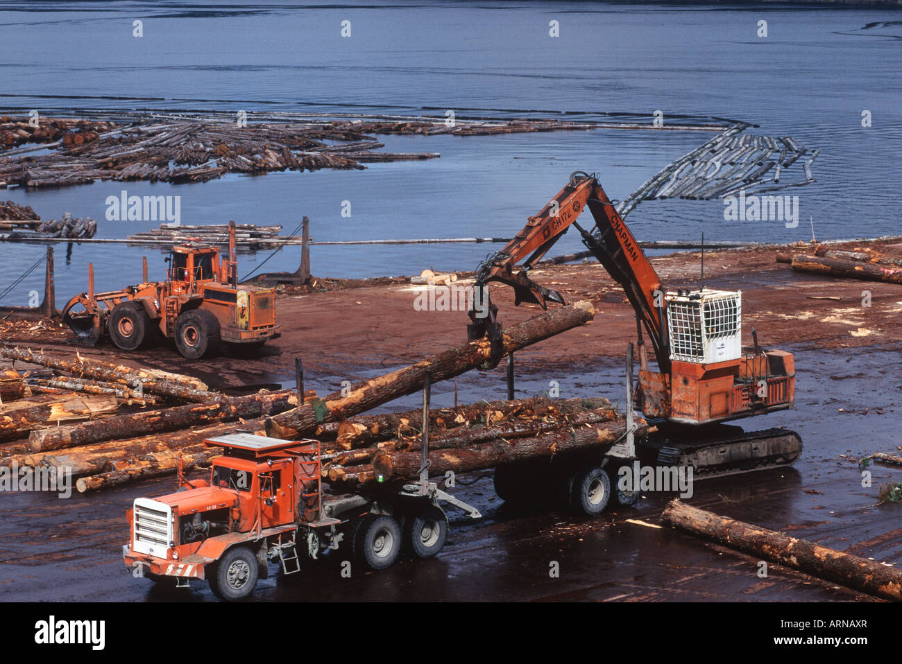 Transport truck being loaded at a log boom, British Columbia, Canada ...