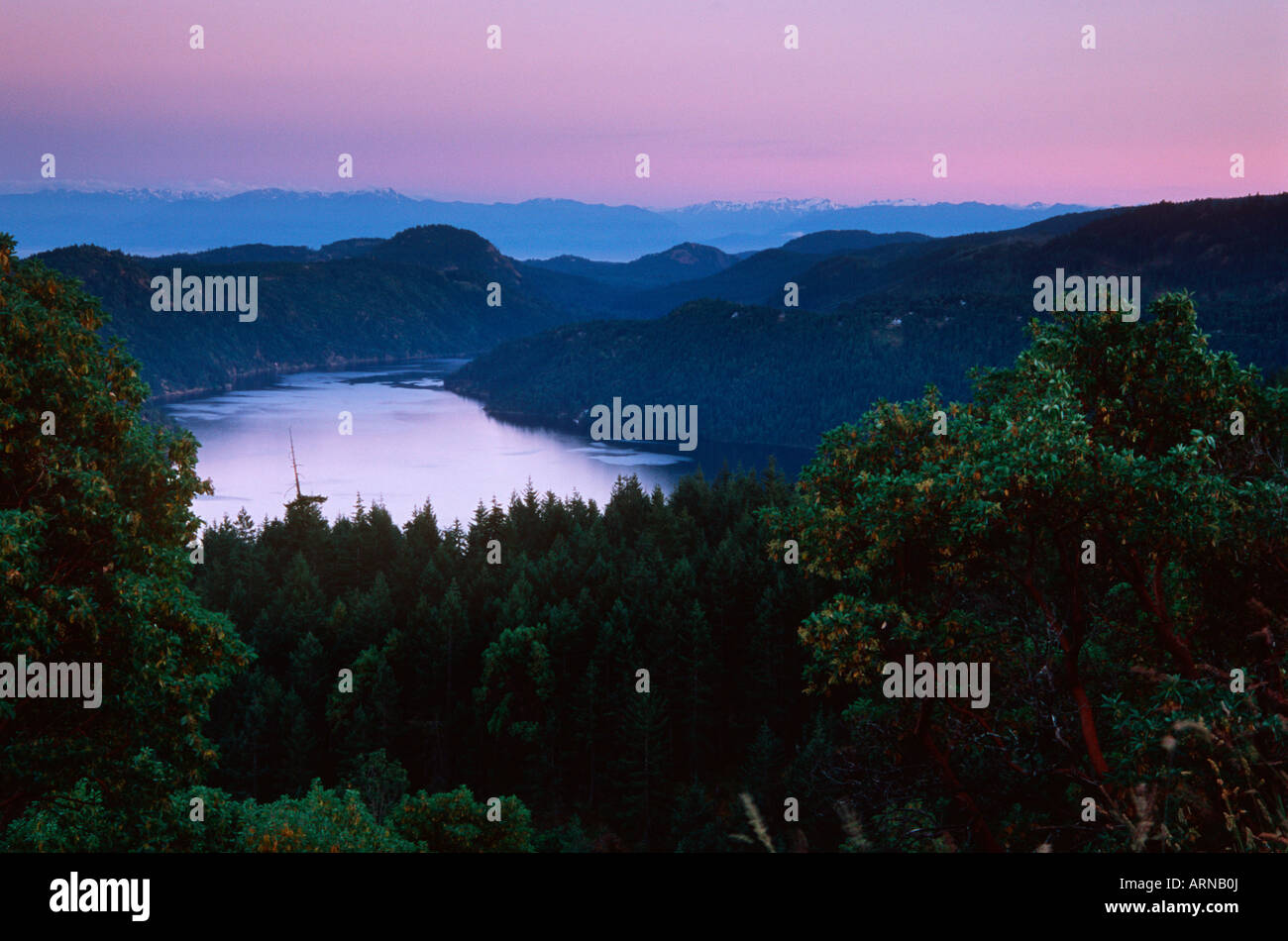 view down Finlayson Channel from Malahat viewpoint at dusk, Victoria ...