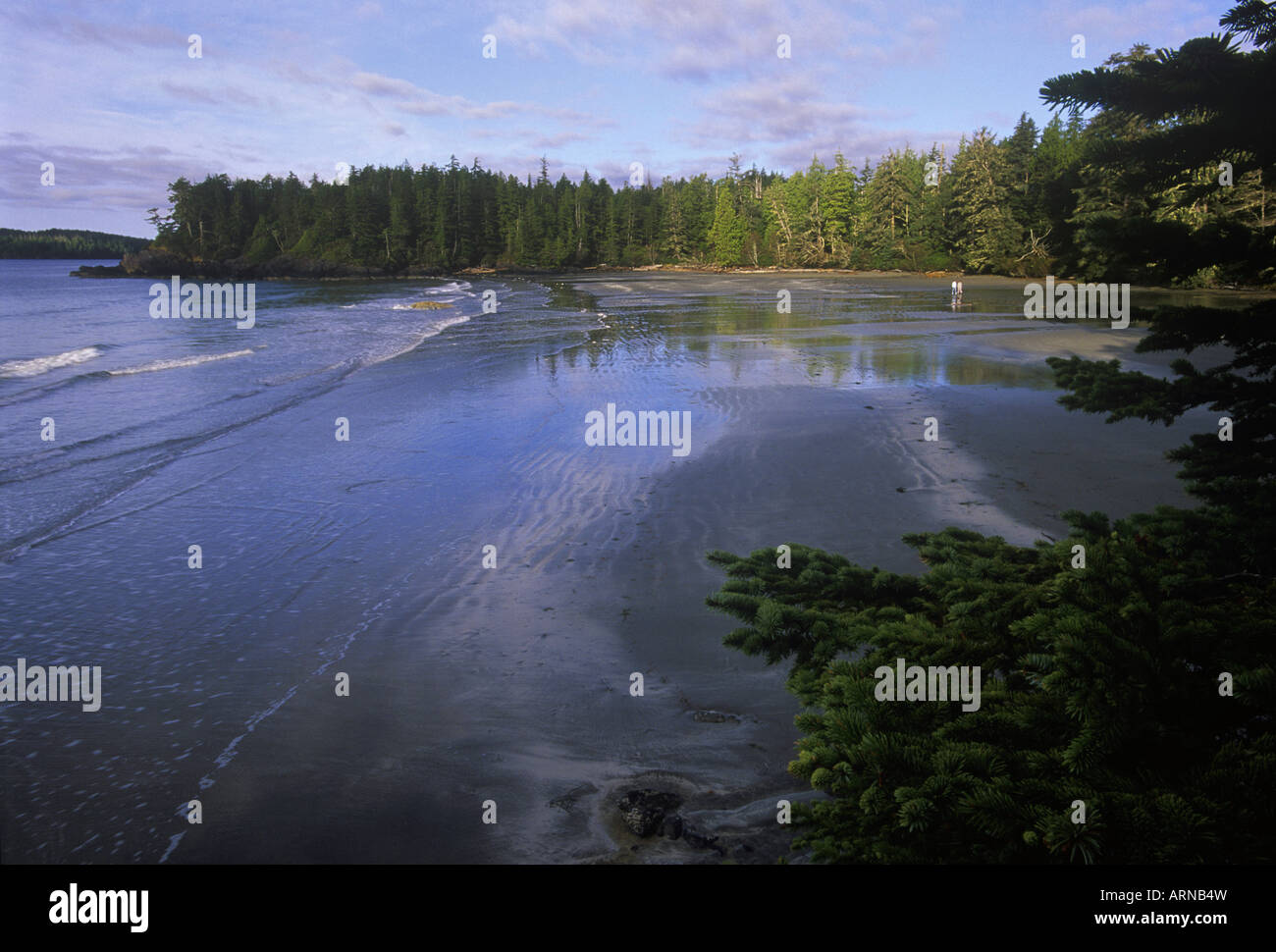Middle beach view from middle beach lodge hi-res stock photography and ...