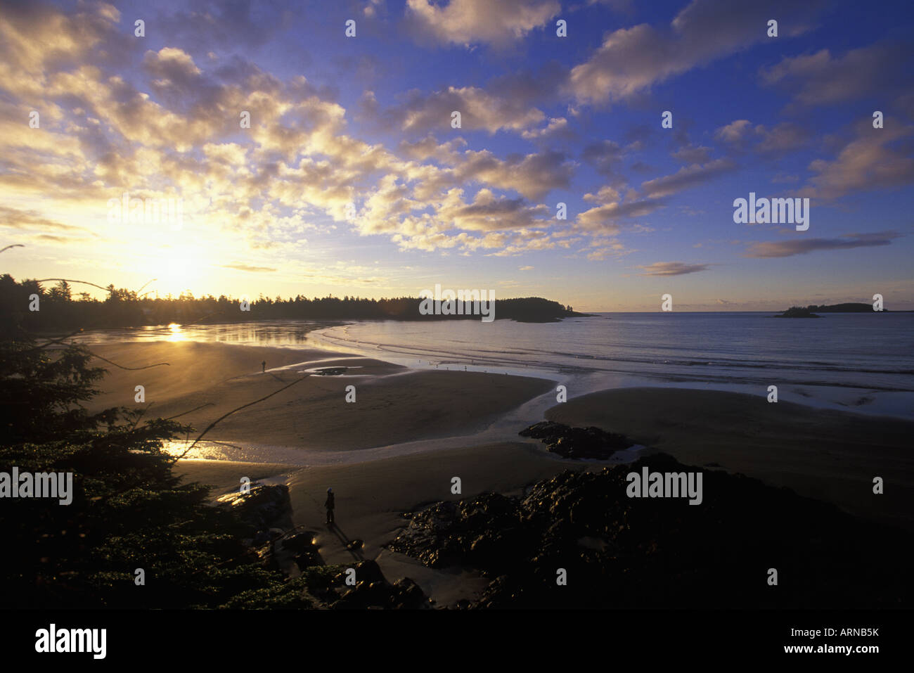 View of MacKenzie beach at sunrise from Middle Beach Lodge, Tofino ...