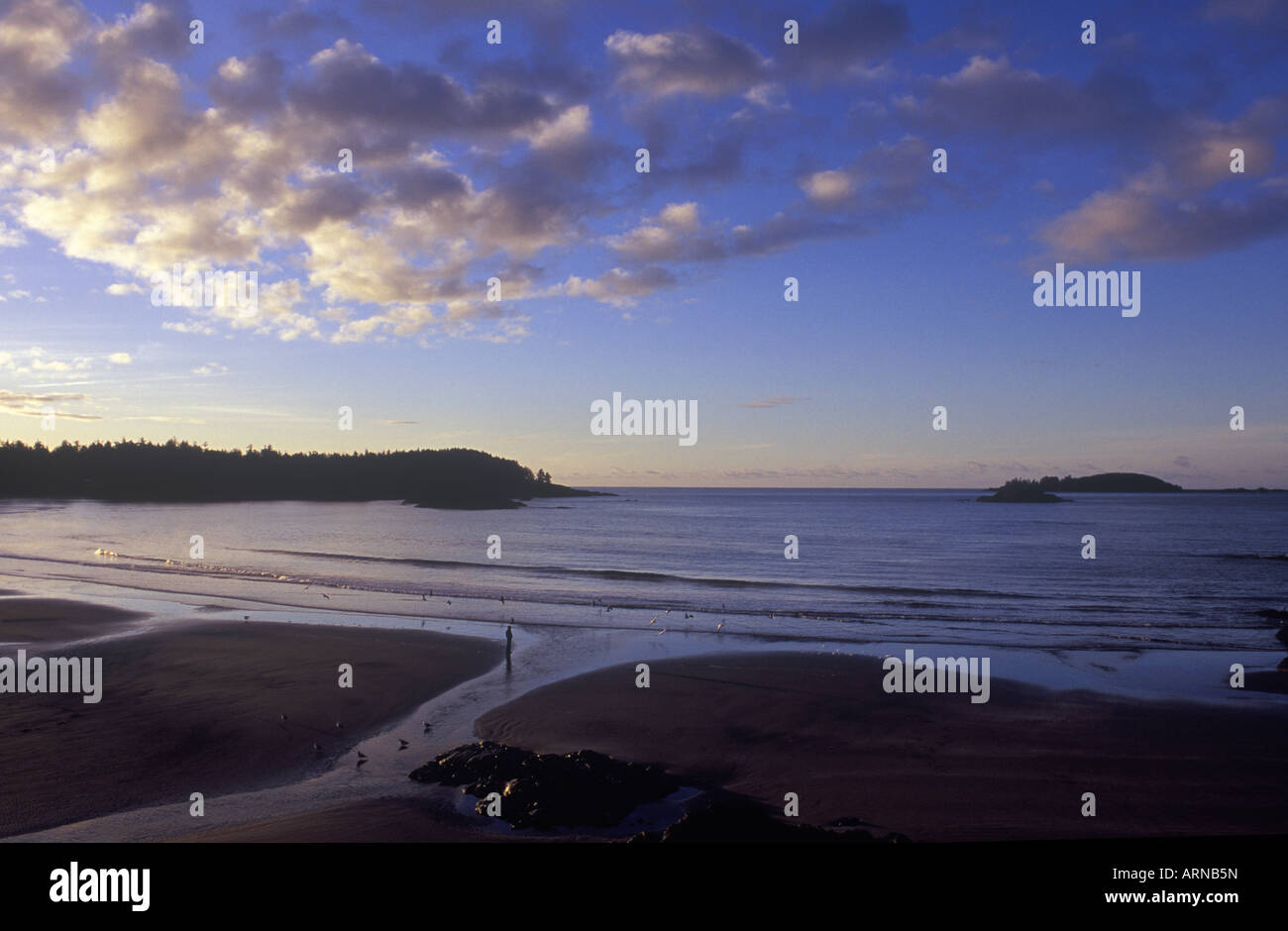 Mackenzie beach hi-res stock photography and images - Alamy