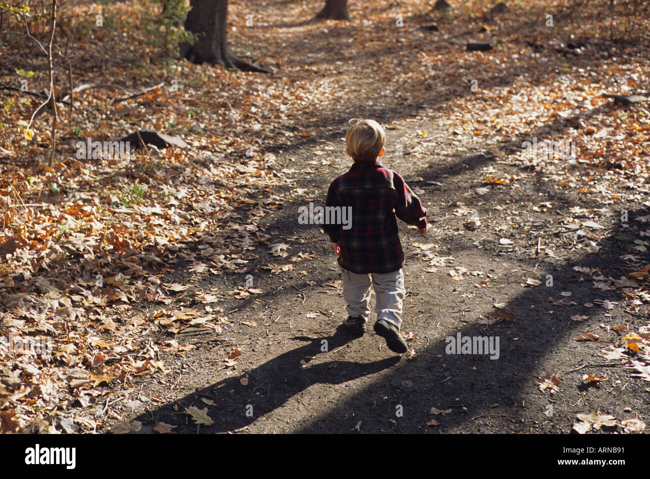 Boy walking alone on path hi-res stock photography and images - Alamy