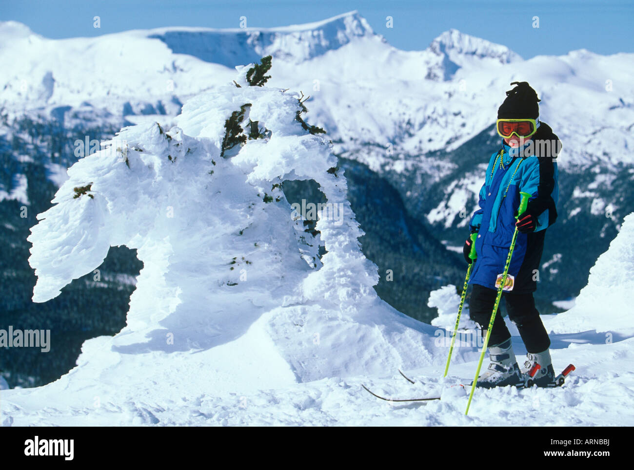 Mount Washington ski resort. Boy at Mt Albert Edward overlook ...