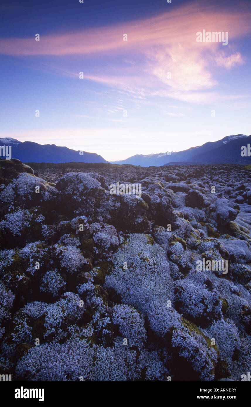 Nass River Valley, Nisga'a Lava Bed Memorial Provincial Park, British ...