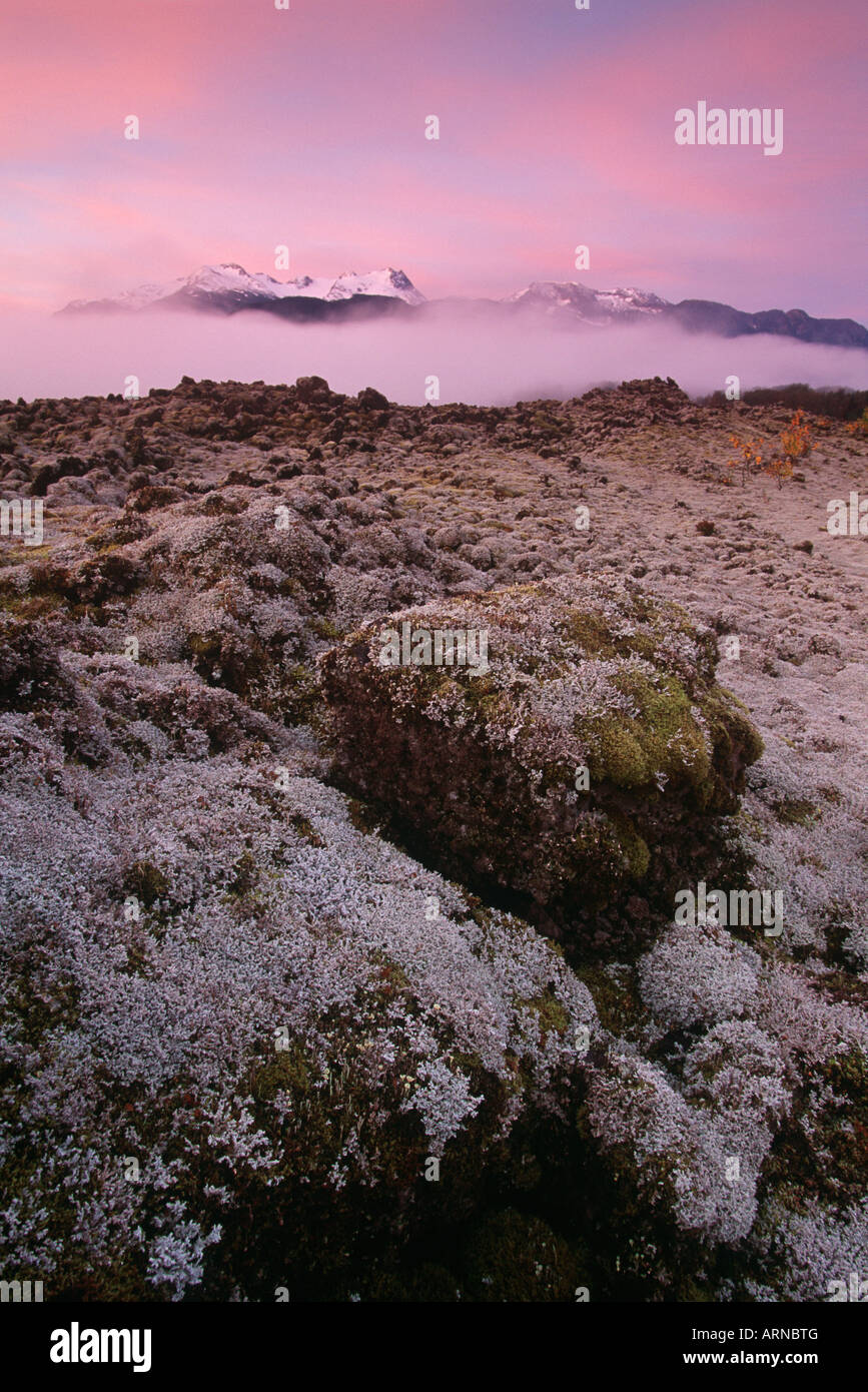 Nisga'a Memorial Lava Bed Provincial Park, lichen encrusted rock, at ...