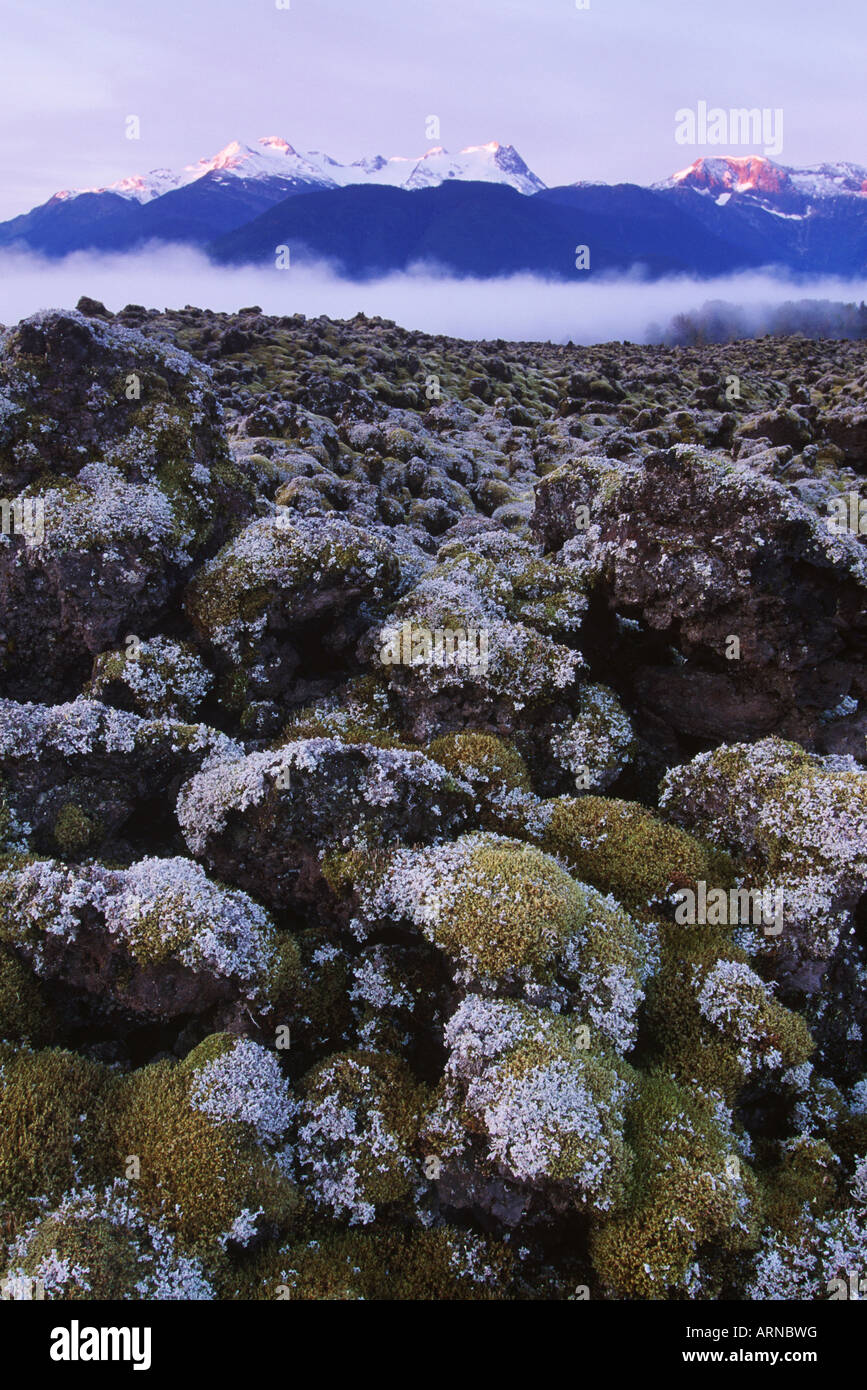 Nisga'a Memorial Lava Bed Provincial Park, lichen encrusted rock, at ...