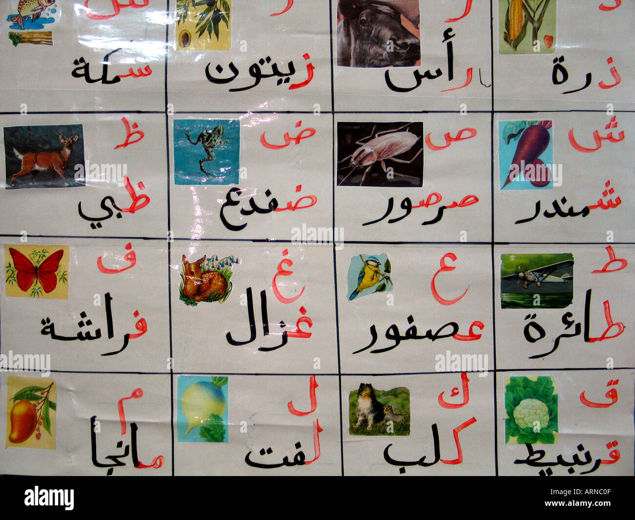 Arabic written language hi-res stock photography and images - Alamy