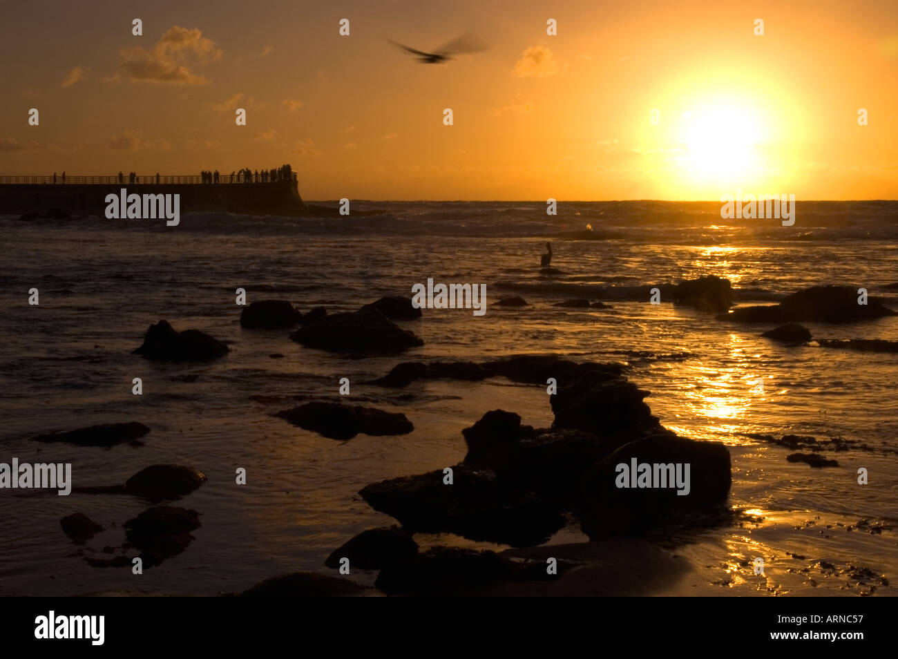 Landscape view of sunset from Shell beach Ja Jolla San Diego California ...