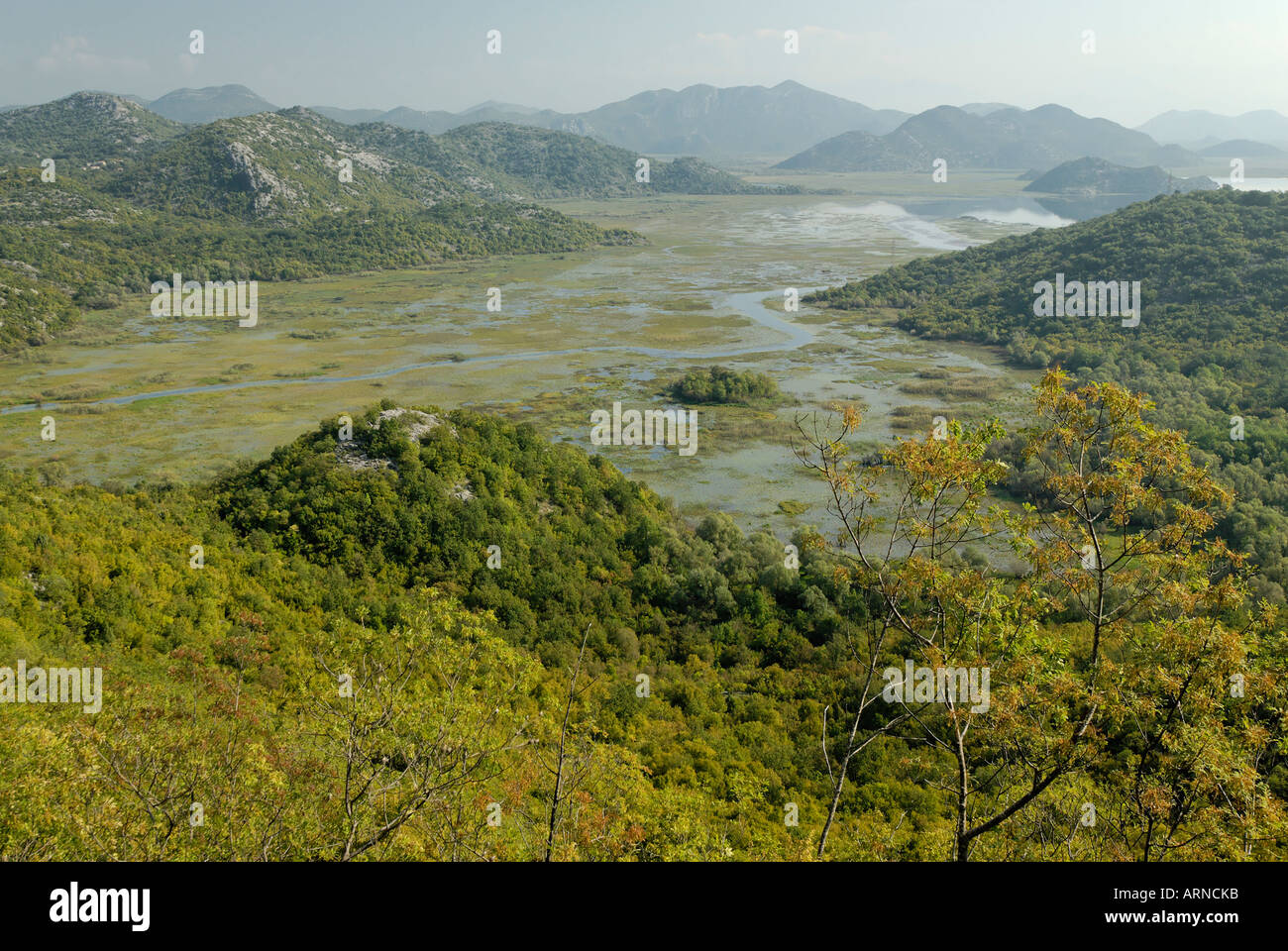 Eastern shore of Skutari lake, Montenegro, Albania Stock Photo - Alamy