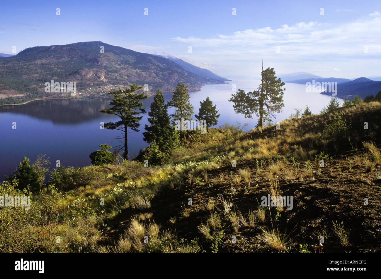 Monk Park above Kelowna, Okanagan Lake, British Columbia, Canada ...