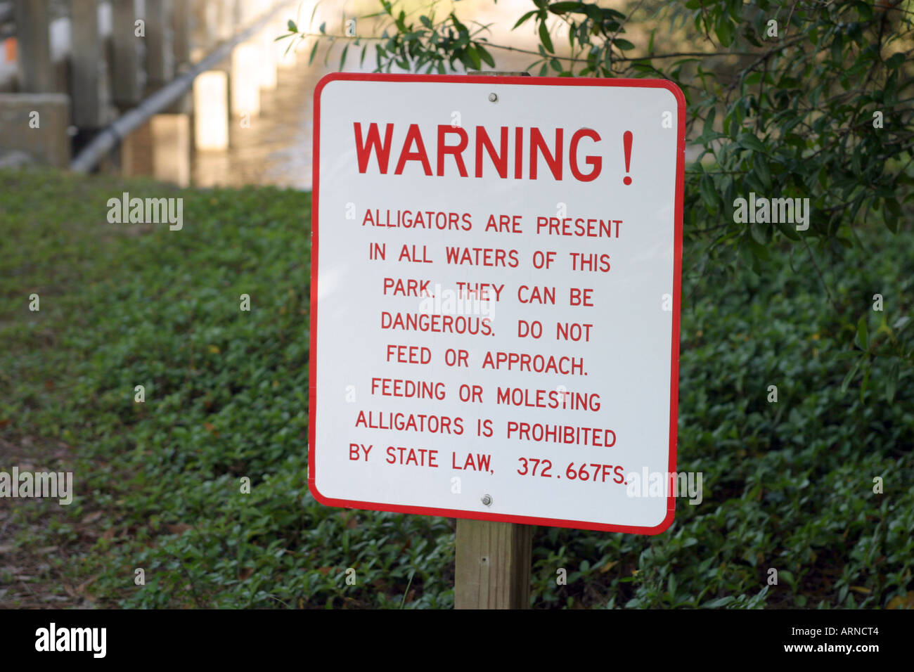 Danger sign alligators Stock Photo - Alamy
