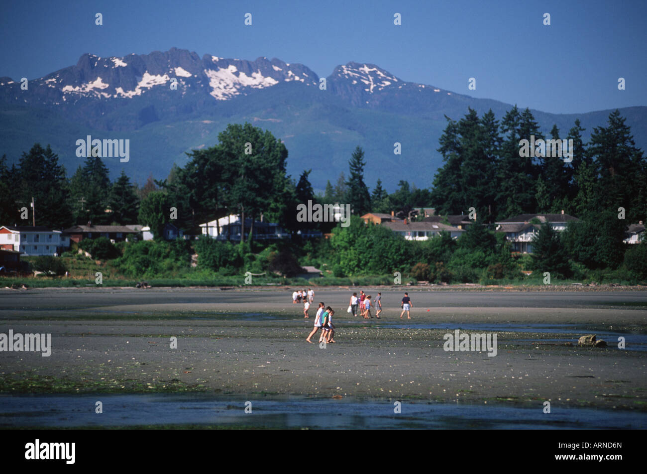 Parksville Beach with Mount Arrowsmith beyond, Vancouver Island ...
