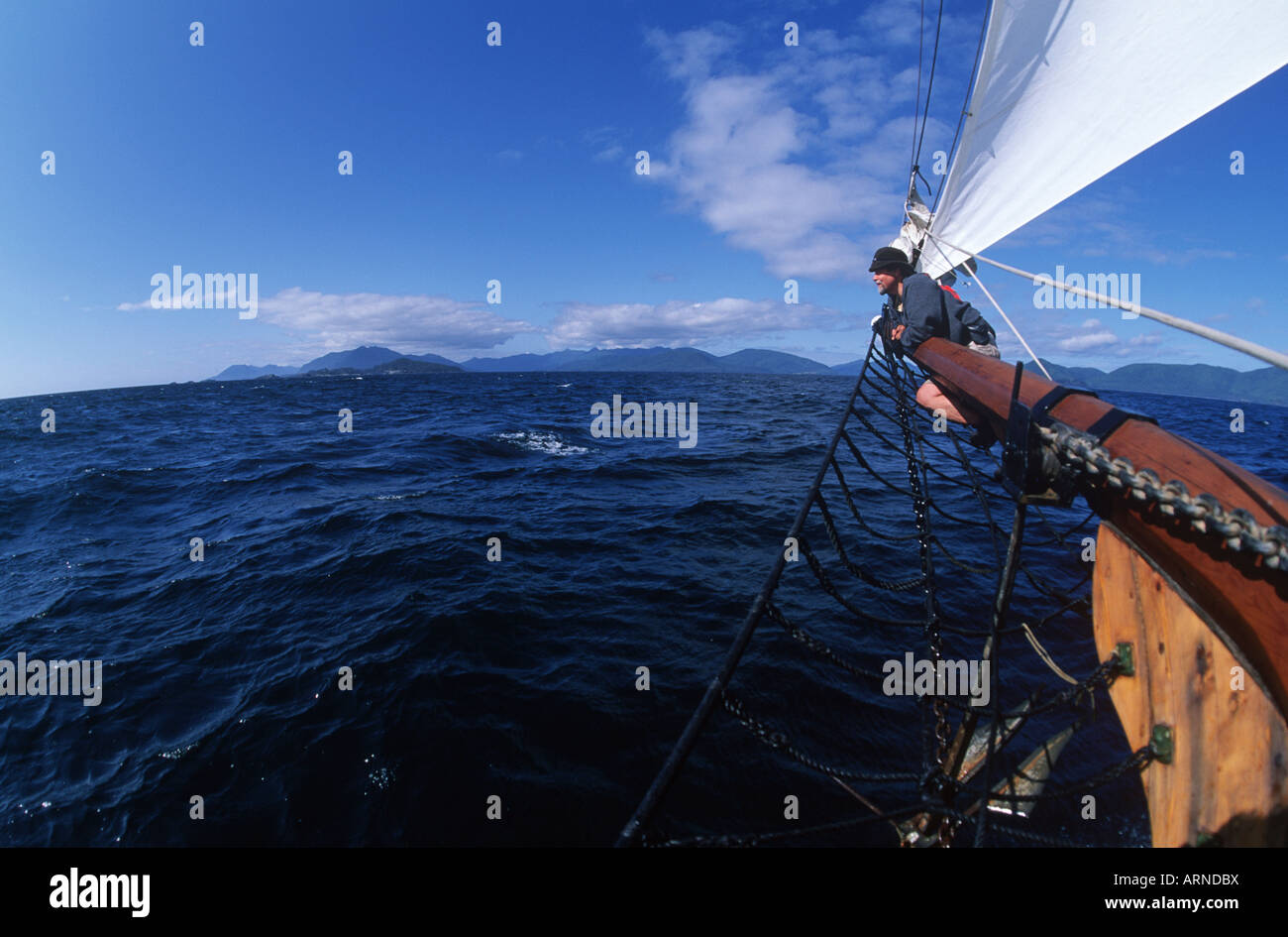 Haida watchman hi-res stock photography and images - Alamy