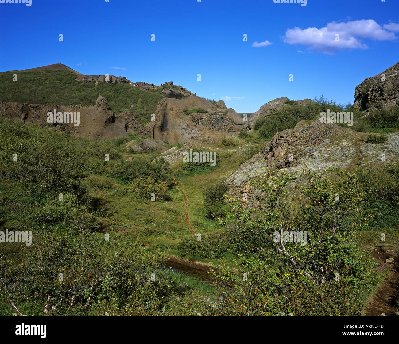 Rock formations (Basalt) called Hljodaklettar, Jökulsarglufur National ...