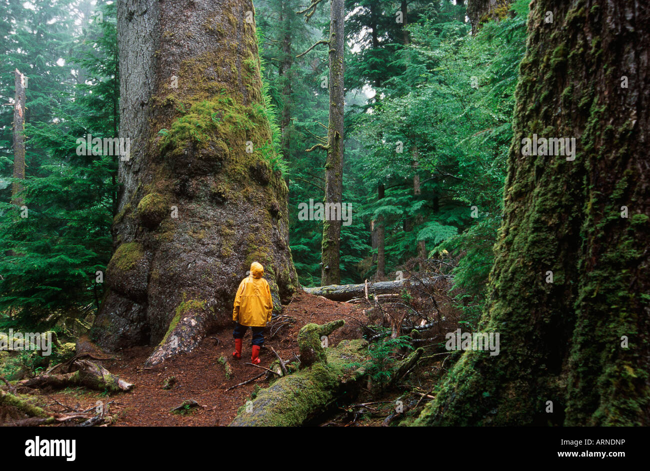 Queen charlotte islands hi-res stock photography and images - Alamy