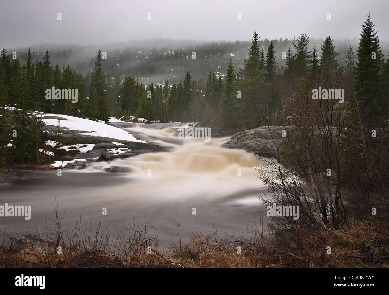 Snowmelt and flood, Numedal, County Buskerud (Buskerud Fylke), Norway ...