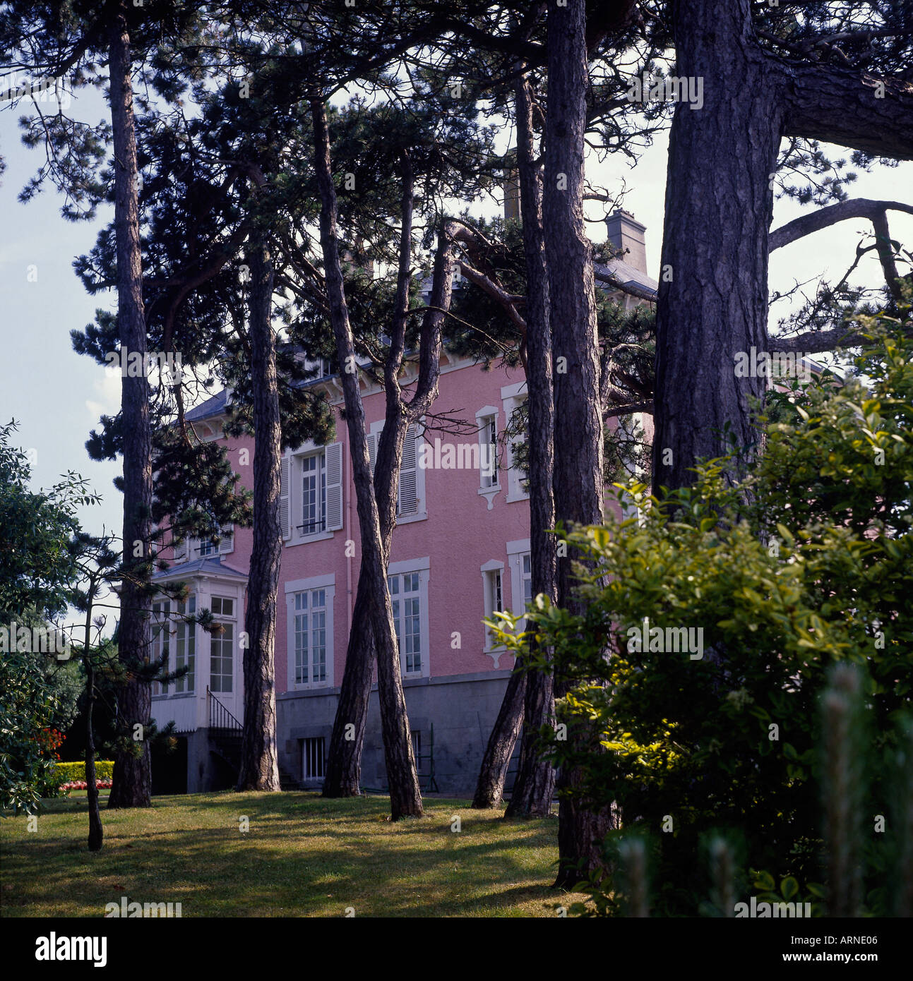 Normandy pines hi-res stock photography and images - Alamy