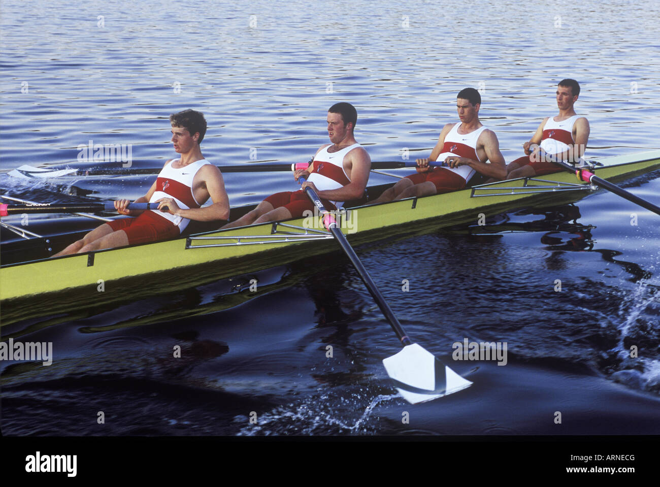Rowers on lake. Elk Lake, Victoria , Canada Junior Men's fours team ... Rowers on lake. Elk Lake, Victoria , Canada Junior Men's fours team ...