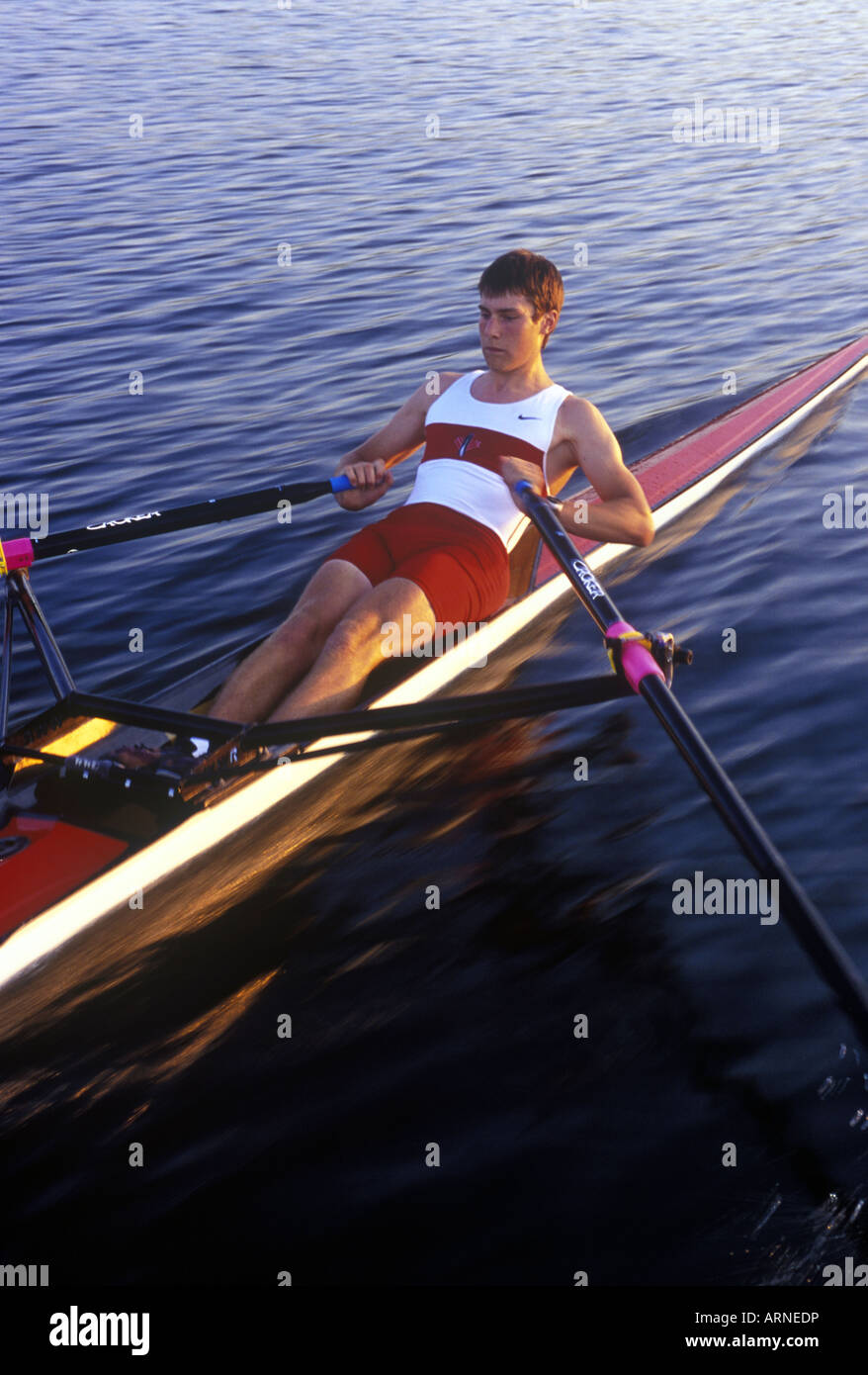 Rower on lake. Elk Lake, Victoria . single shell, Vancouver Island ...