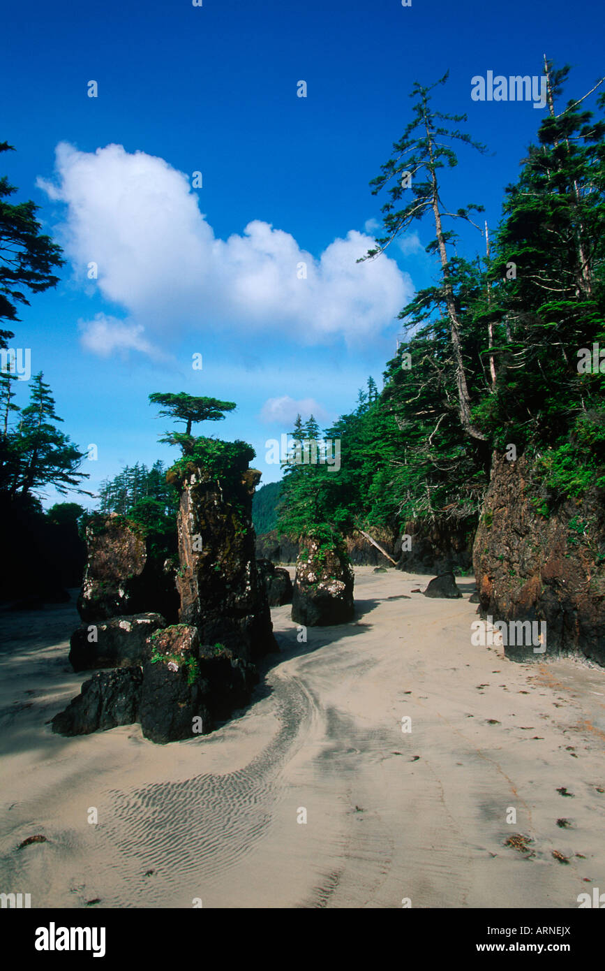San Joseph Bay, Cape Scott Provincial Park, sea stacks, Vancouver ...