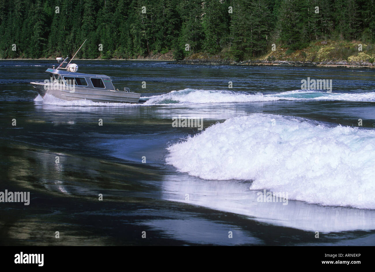 Sechelt near Egmont, flood tidal wave with boat beyond, British ...
