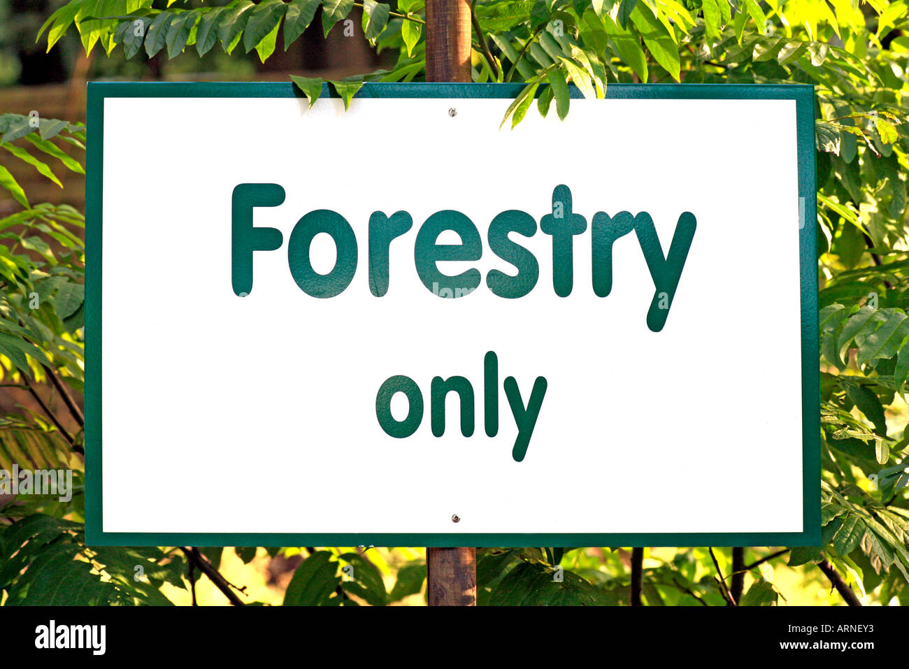 Sign forestry only Stock Photo - Alamy