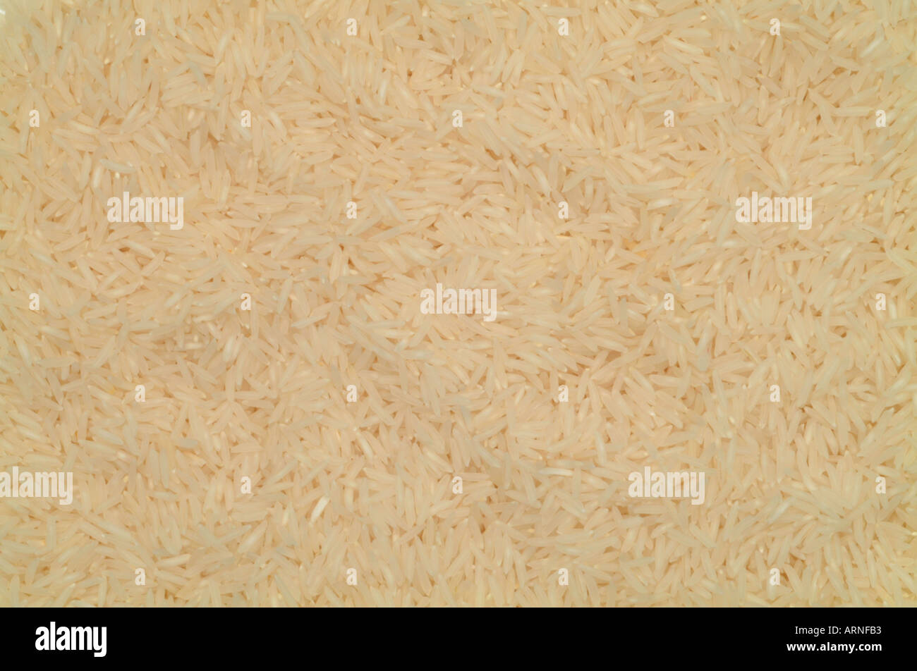 Basmati rice grain grains Stock Photo - Alamy