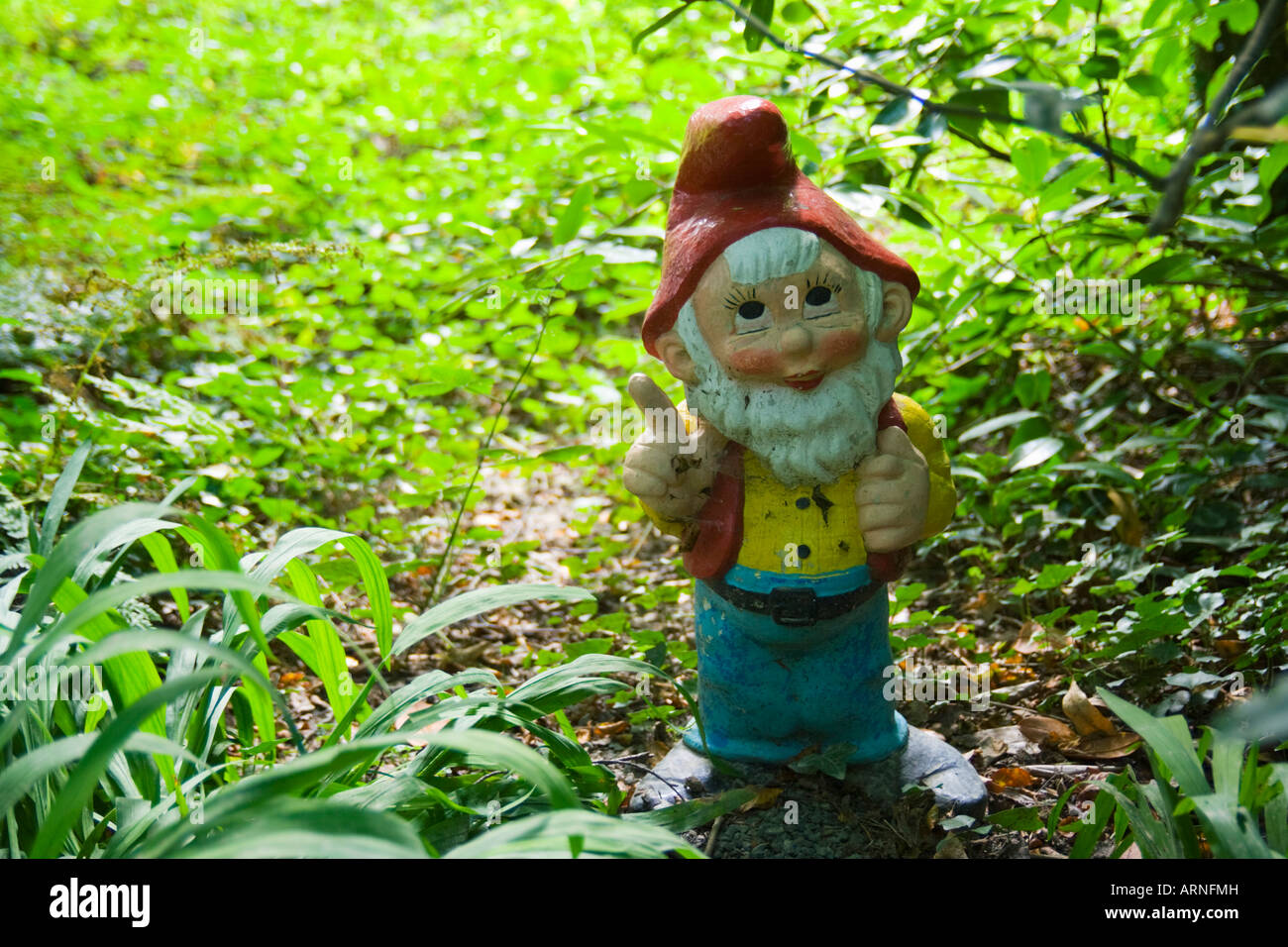 Gnomes at the Gnome Reserve, Devon, UK Stock Photo - Alamy