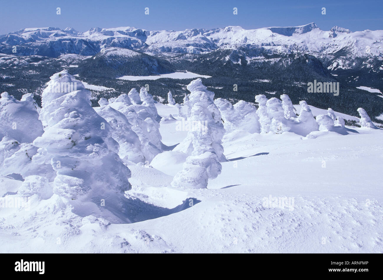 Mount Washington ski resort. Mt Albert Edward overlook, Vancouver ...