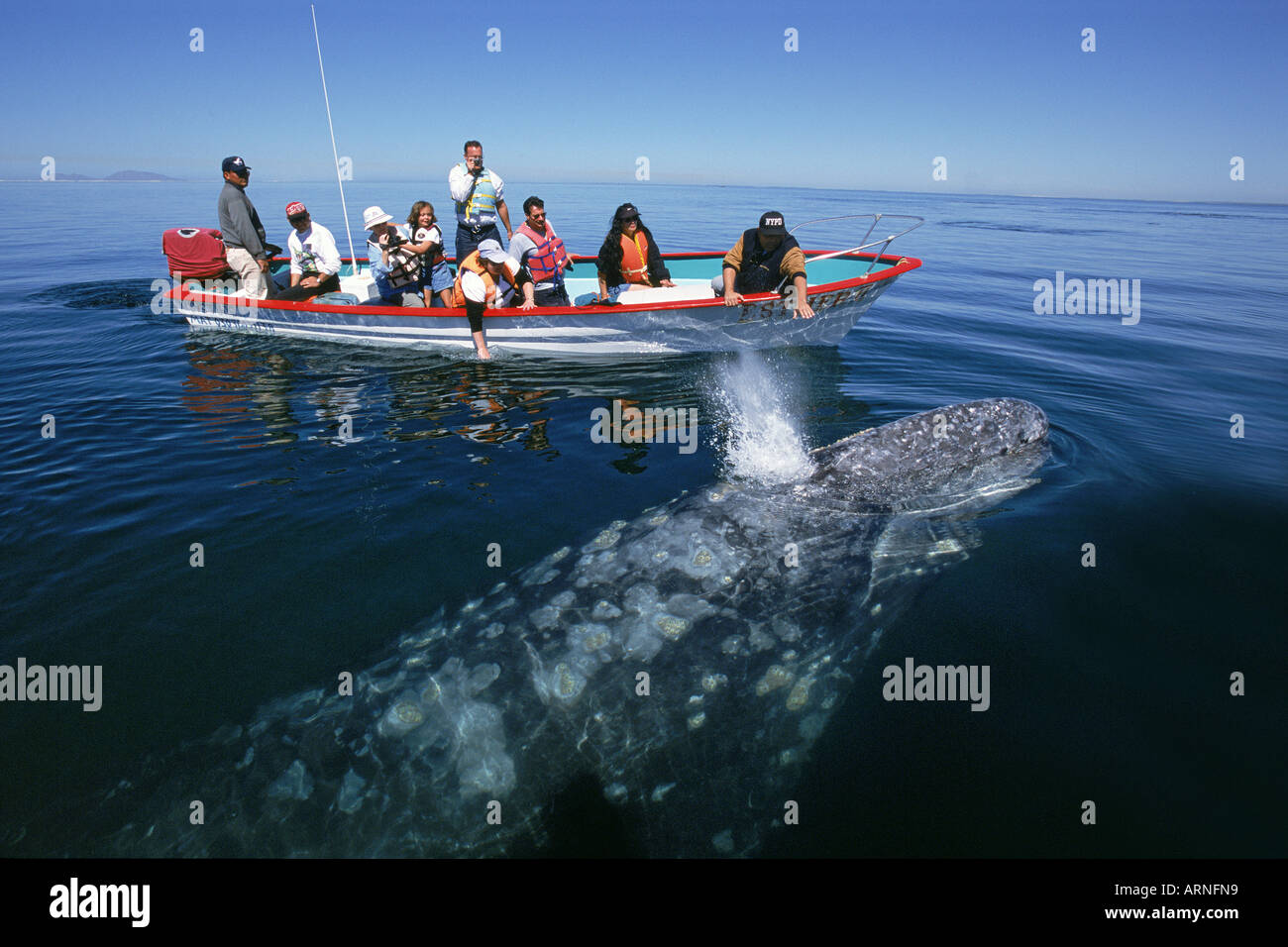 50 feet long hi-res stock photography and images - Alamy
