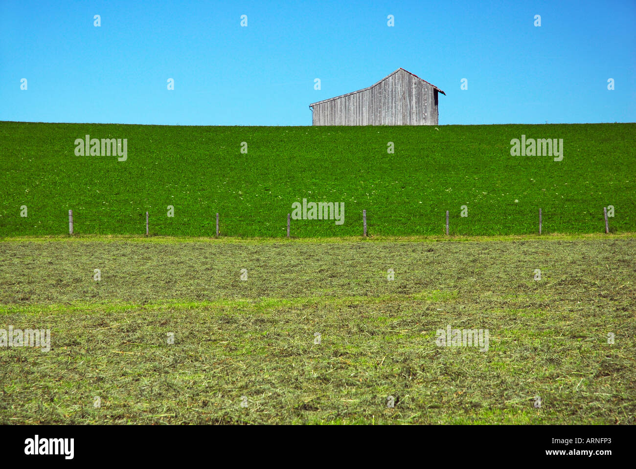 Mowed gras hi-res stock photography and images - Alamy
