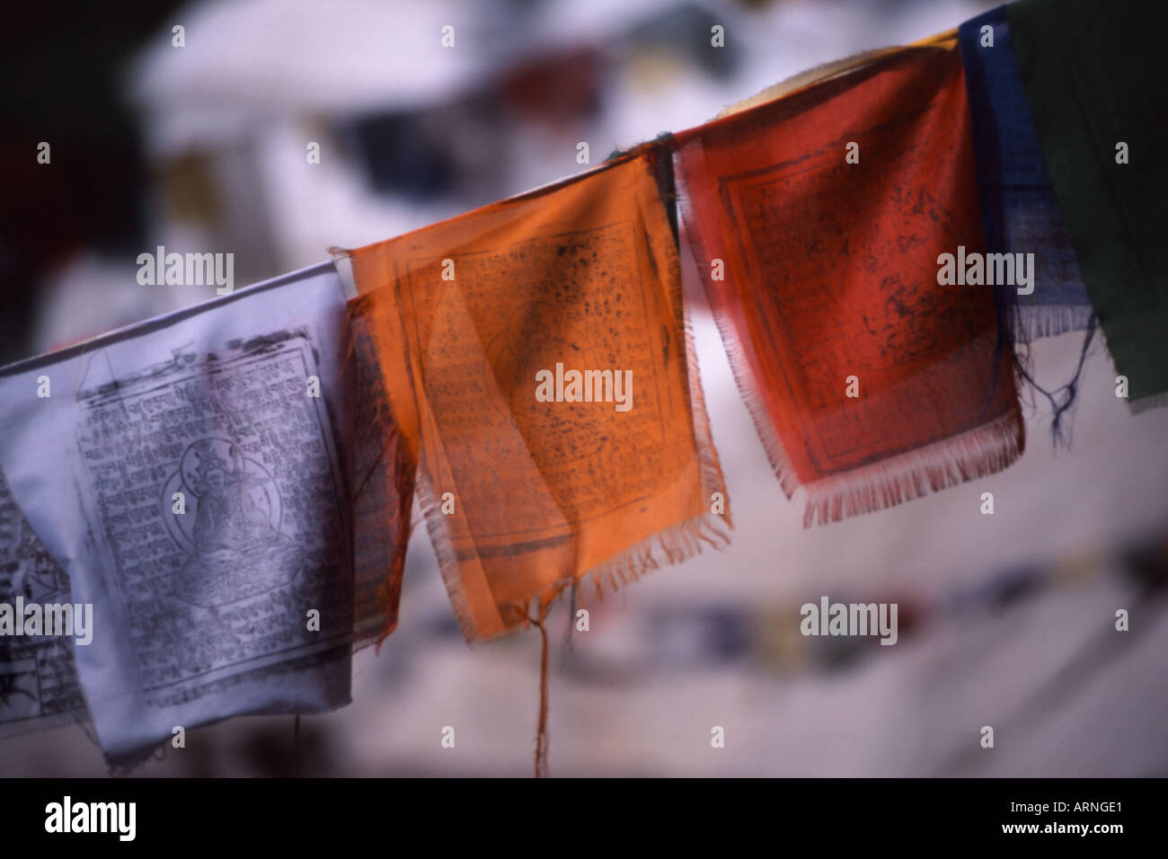 Buddhist Prayer Flags Ladakh India Stock Photo - Alamy