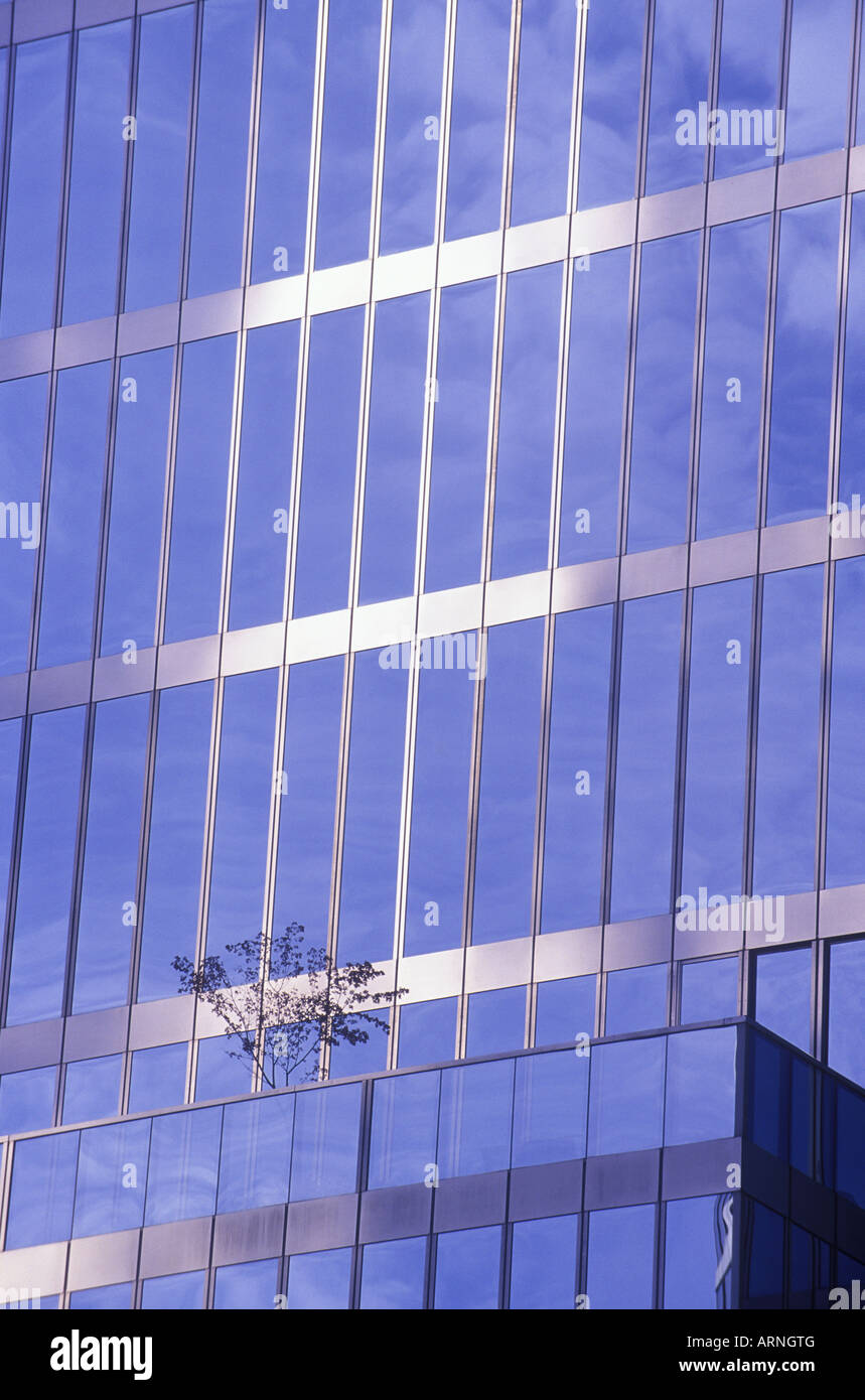Office tower with lone tree growing on ledge hi-res stock photography ...