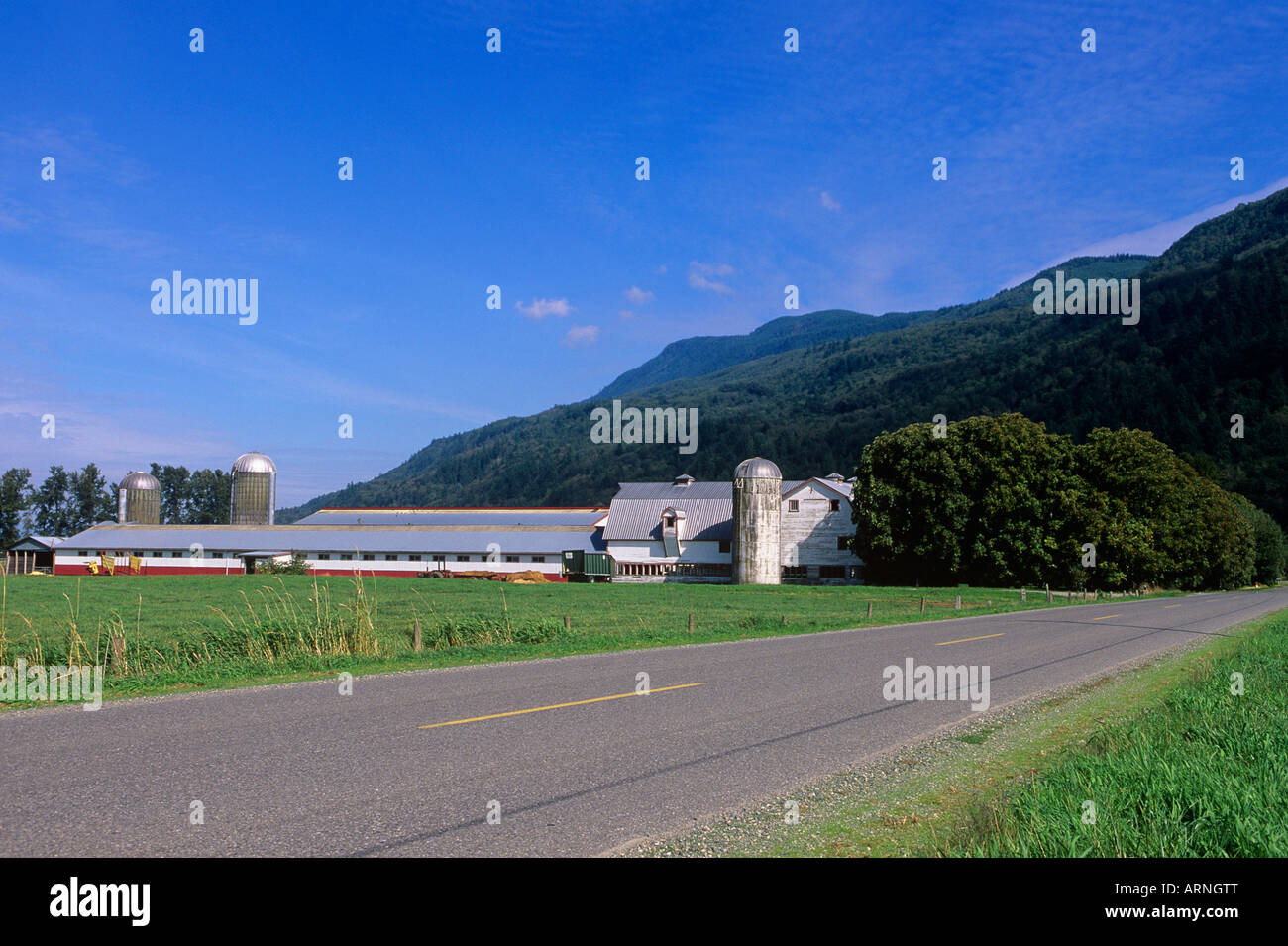 British Columbia Barn Farm Silo High Resolution Stock Photography and ...