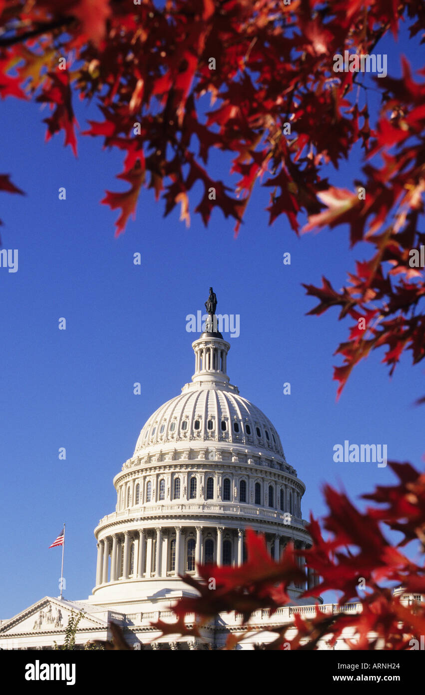 Washington DC US Capitol Building Dome exterior. Autumn leaves American ...