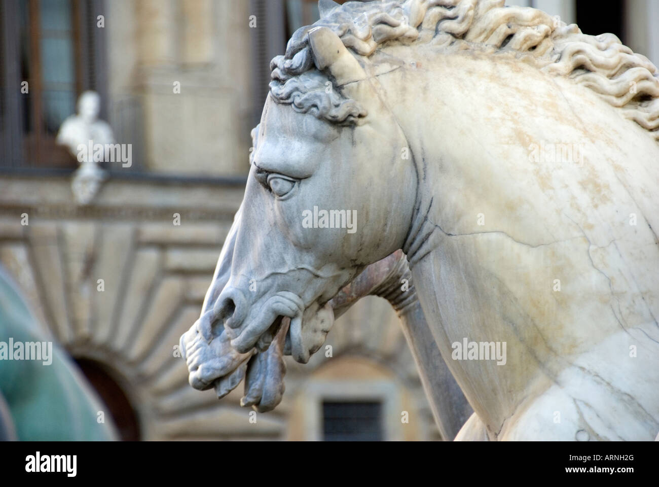 One of four marble horses which draw Neptune's chariot on the ...