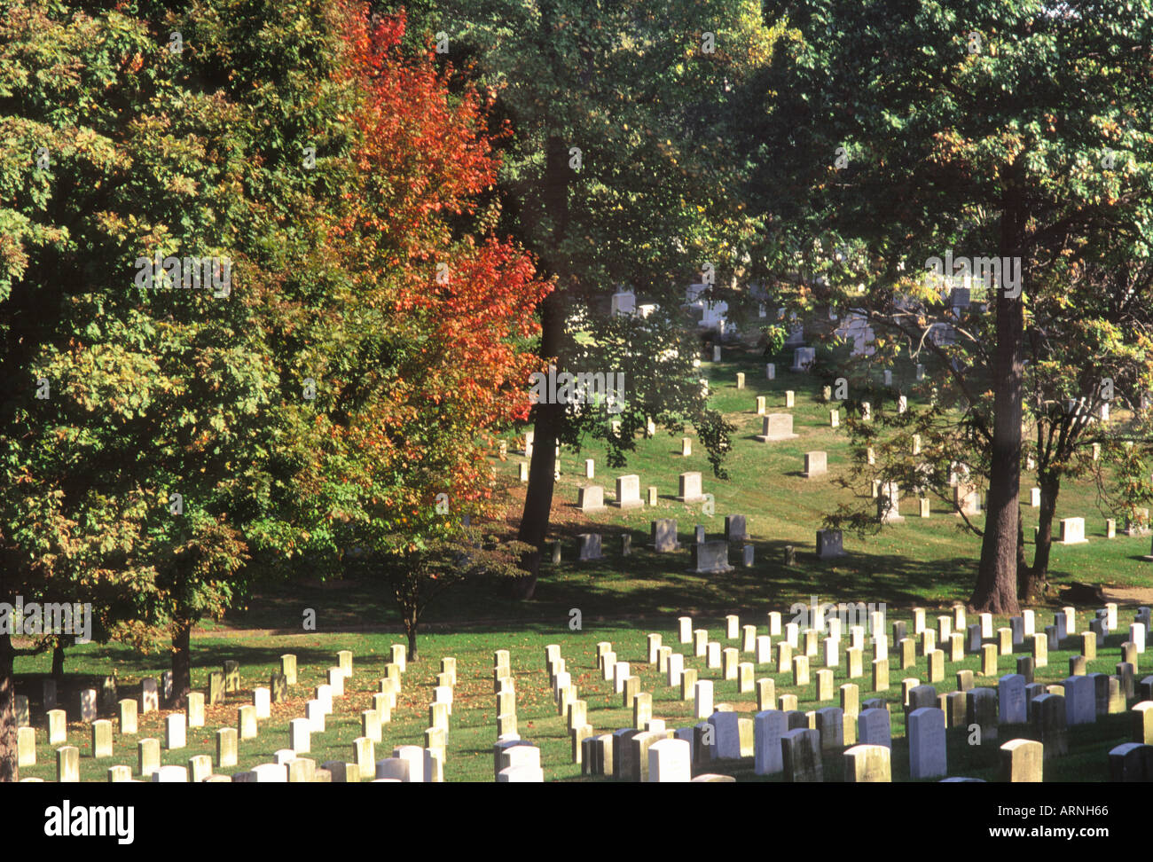 Virginia national cemetery