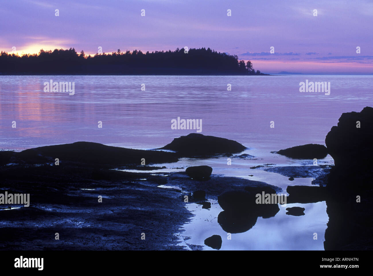Madrona point hi-res stock photography and images - Alamy
